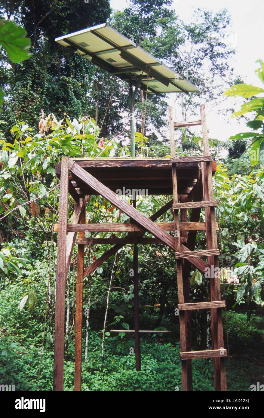 Solar Energy Cells on Wooden Podium in Jungle Stock Photo - Alamy