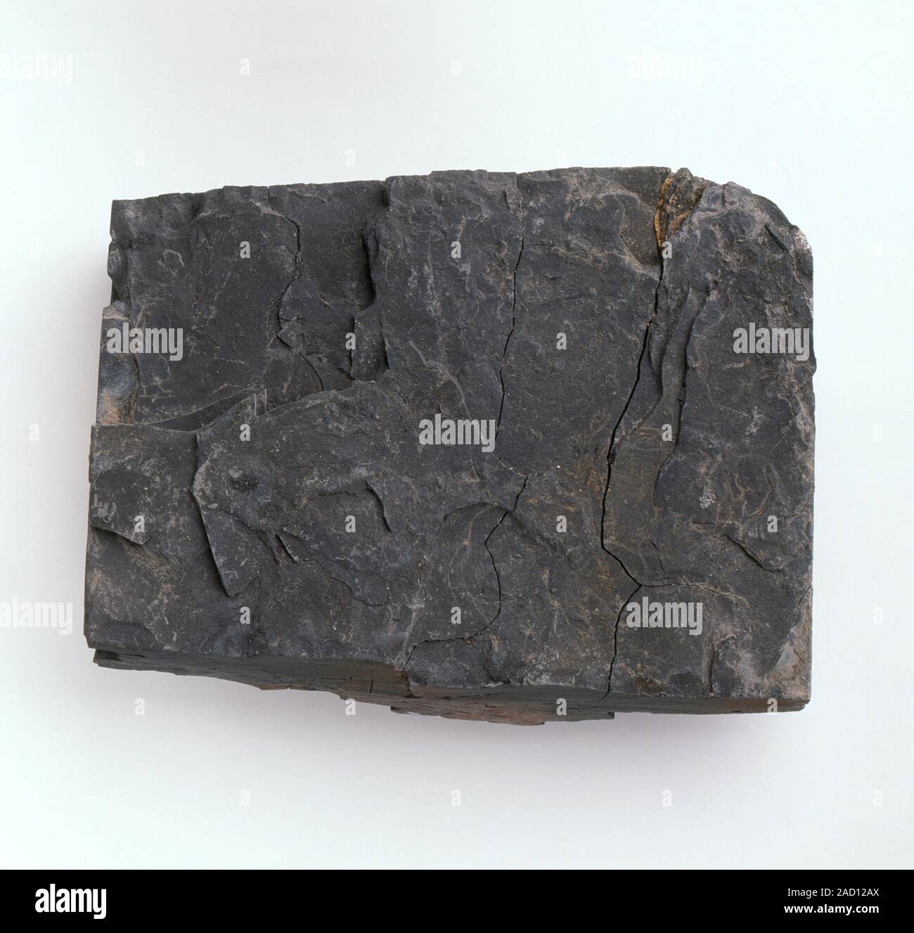 A piece of black shale, close-up Stock Photo - Alamy