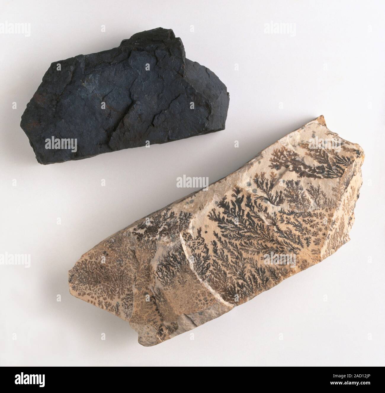 Dendritic structures of pyrolusite (manganese oxide) on surface of ...