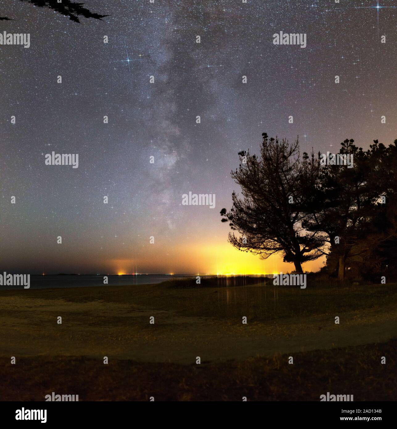 Milky Way over coastal trees. The Milky Way (upper centre) is a band of ...