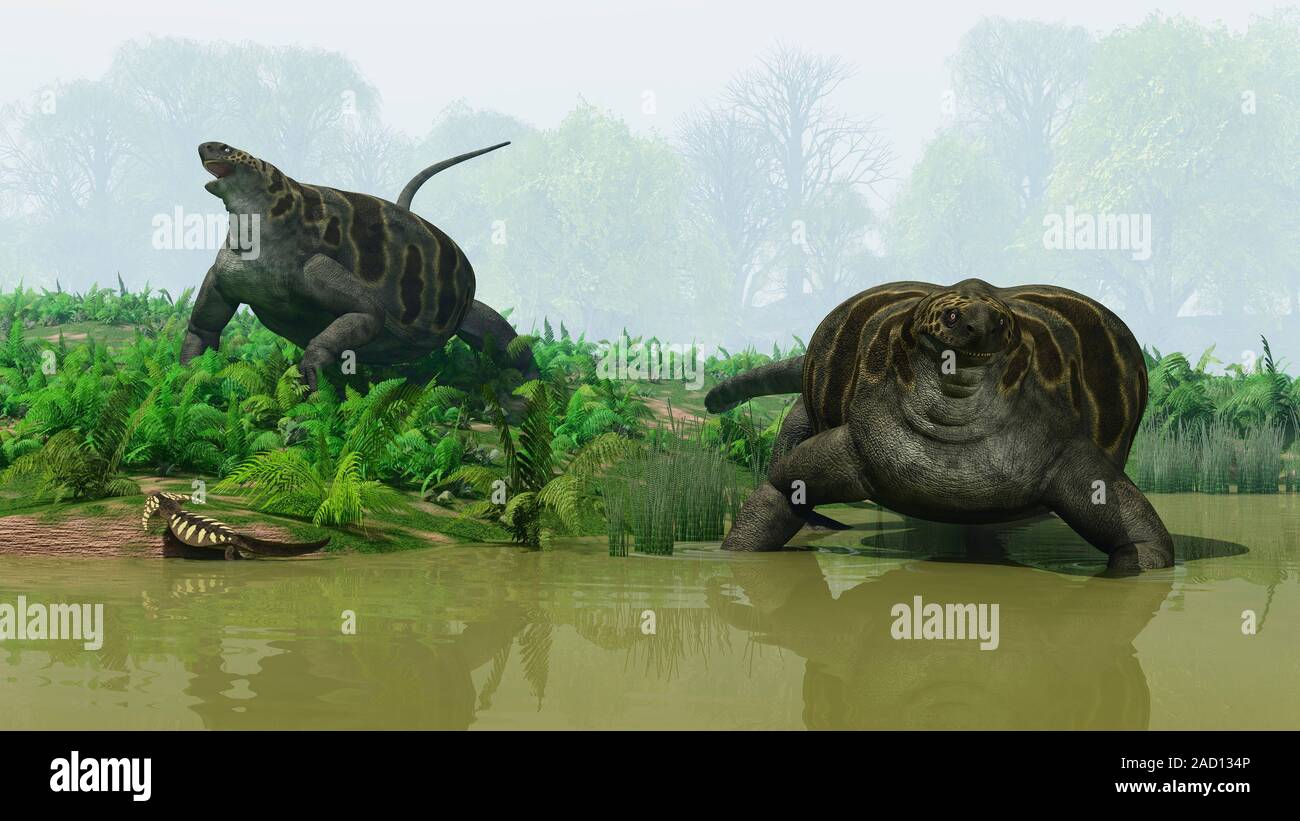 Cotylorhynchus synapsids. Illustration of giant six-metre-long ...