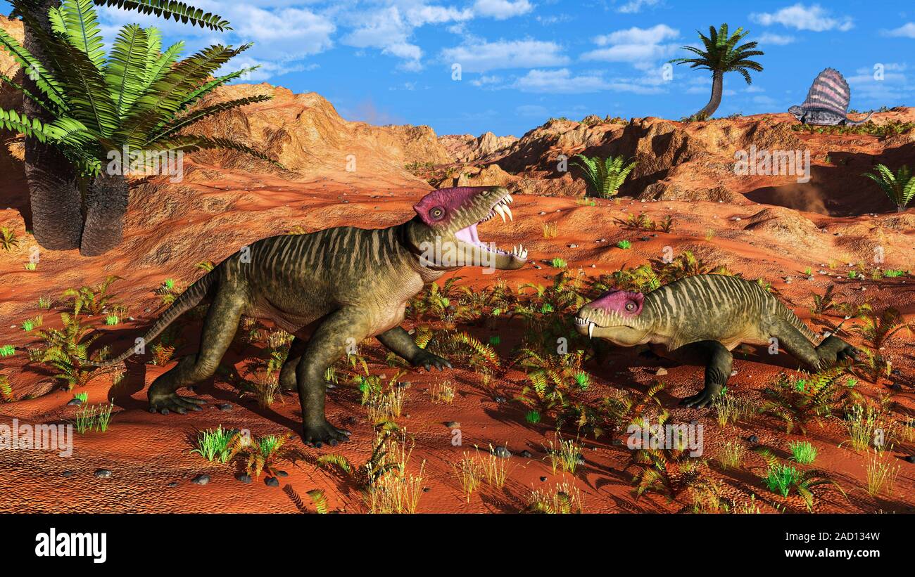 Doliosauriscus therapsids. Illustration of 3.5-metre-long dinocephalian ...