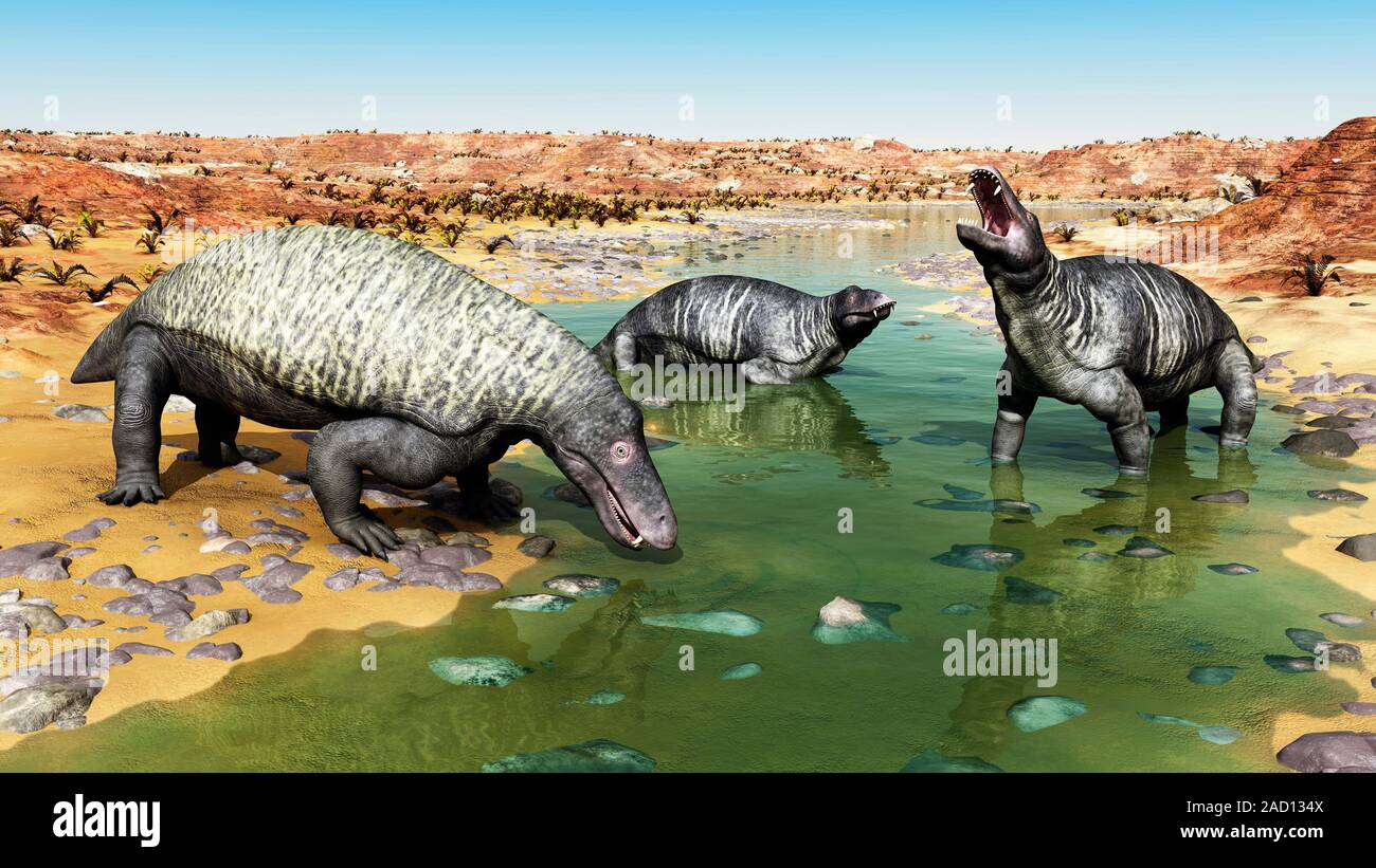 Jonkeria therapsids. Illustration of 3.5-metre-long dinocephalian ...