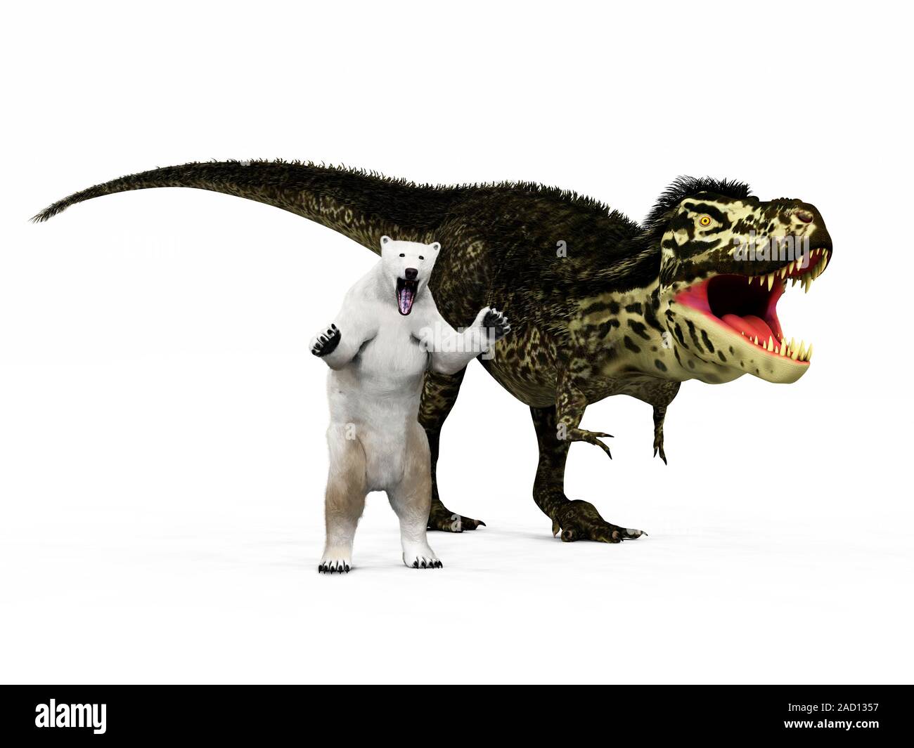 T-rex dinosaur and polar bear. Illustration of the coelurosaurian ...