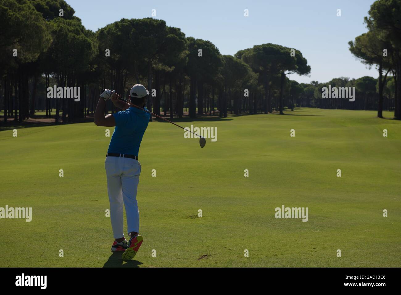 golf player hitting shot Stock Photo - Alamy