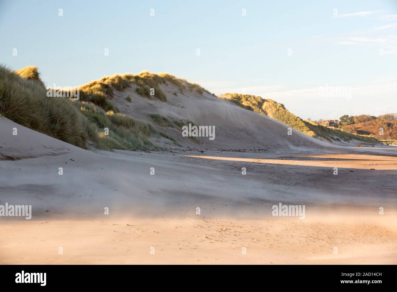 Sand blowing in a sand storm during windy weather on sand dunes at ...