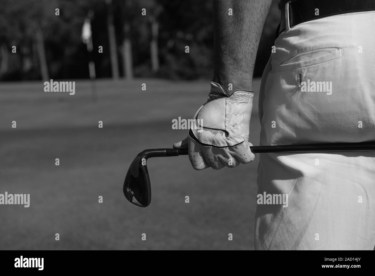 golf player close up hand and driver from back Stock Photo - Alamy