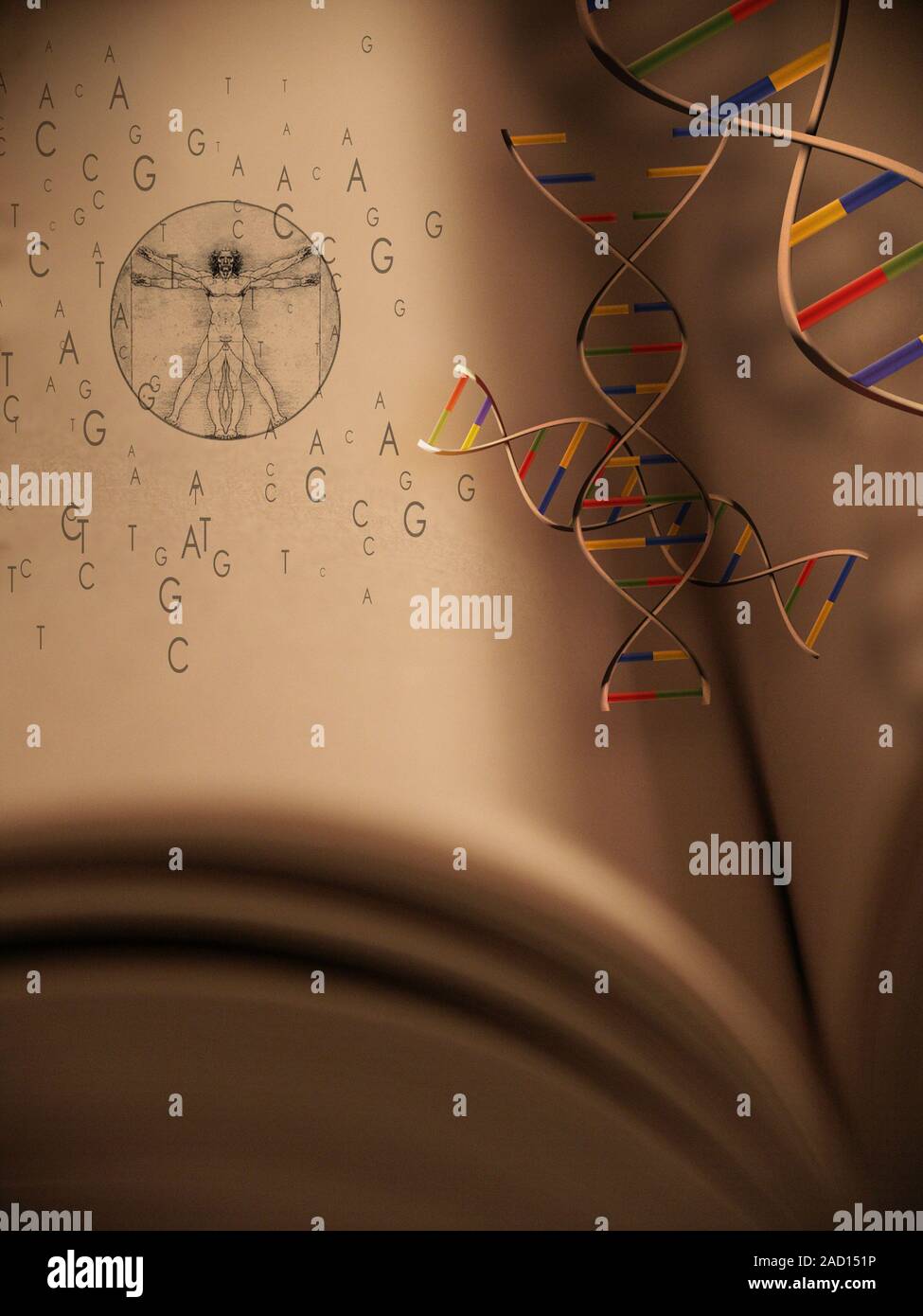 Genesis book. DNA strands and Vitruvian man Stock Photo - Alamy
