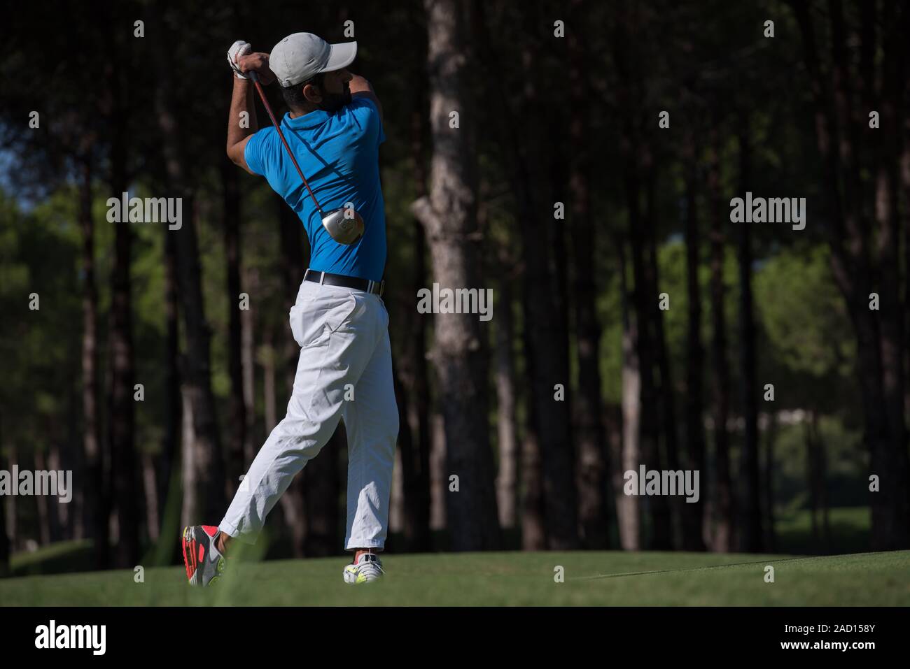 golf player hitting shot Stock Photo - Alamy