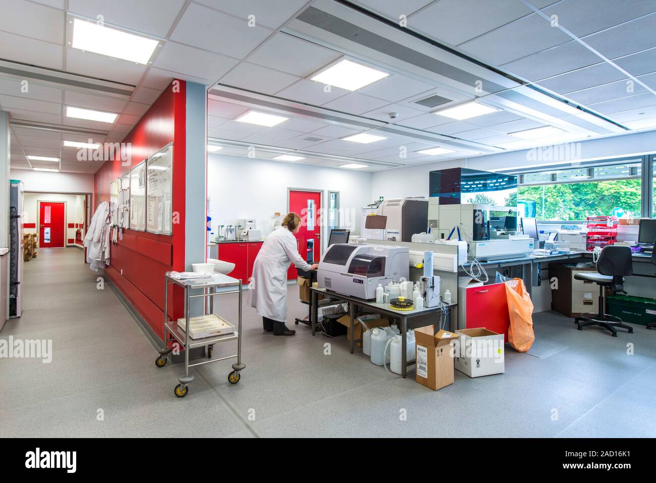 Protein research laboratory. Researcher in a laboratory operating an ...
