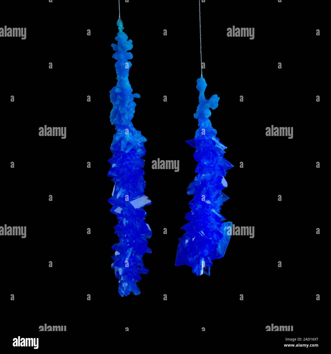 Crystals of copper (II) sulphate pentahydrate, grown on a thread. The ...