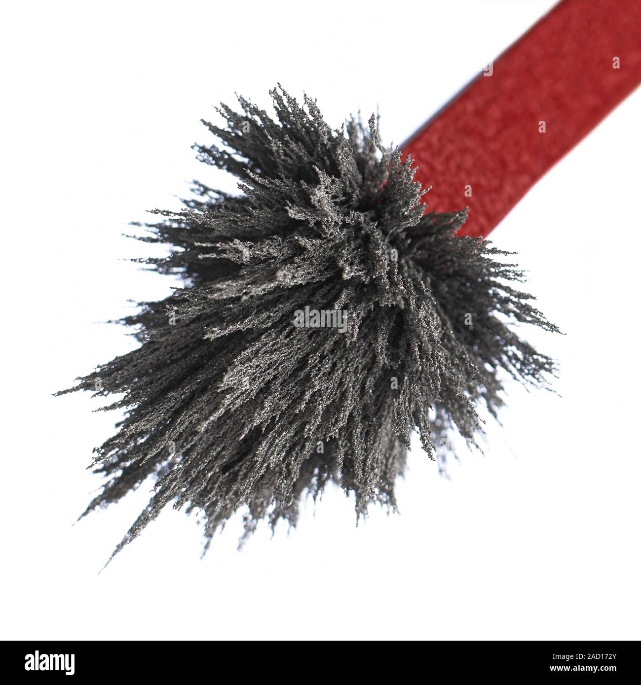 Iron filings store