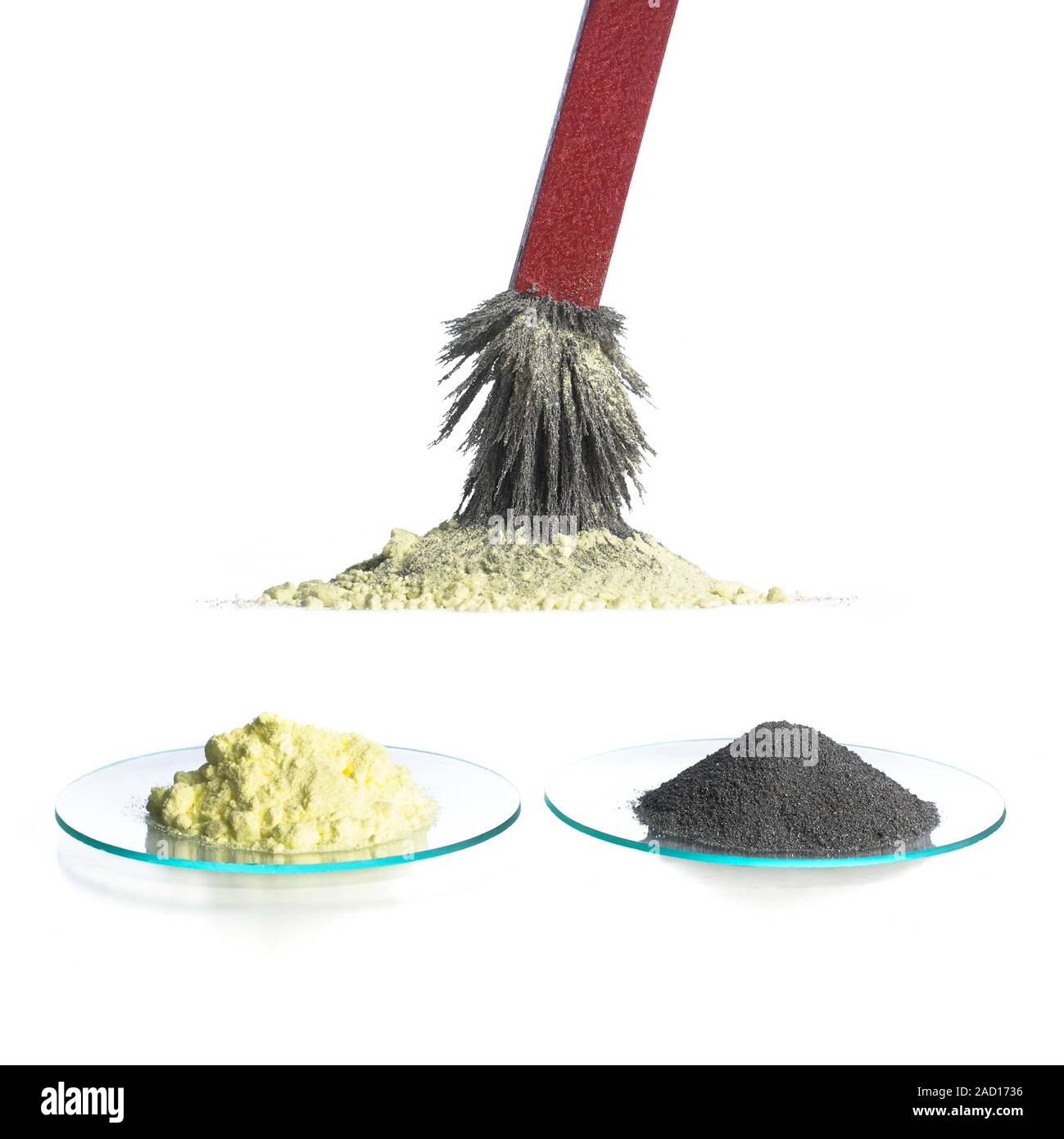 Magnetism. A magnet being used to separate iron filings from finely ...