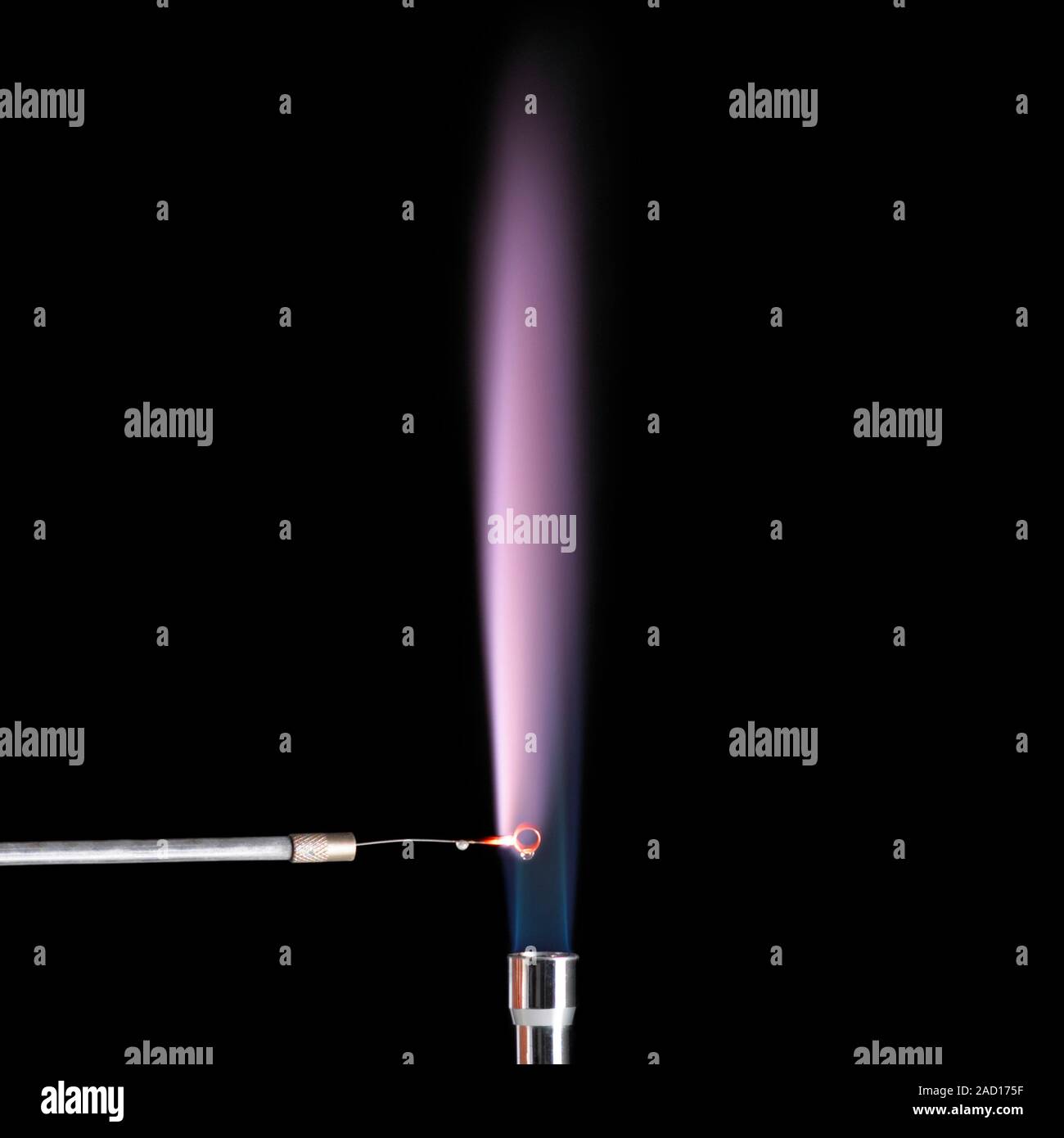 Potassium flame test. Positive result of a flame test for potassium (K ...