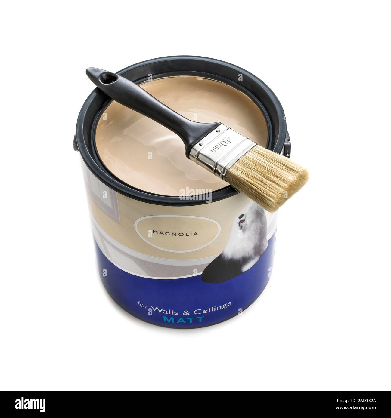 Emulsion paint. This is dispersion of tiny coloured polymer particles ...