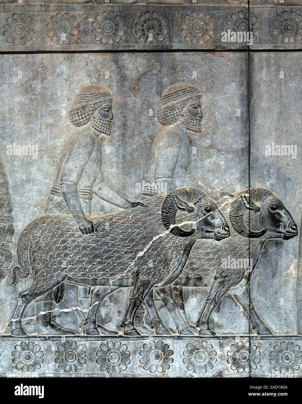 Bas-relief, Persepolis. Close-up of a bas-relief on the great staircase ...