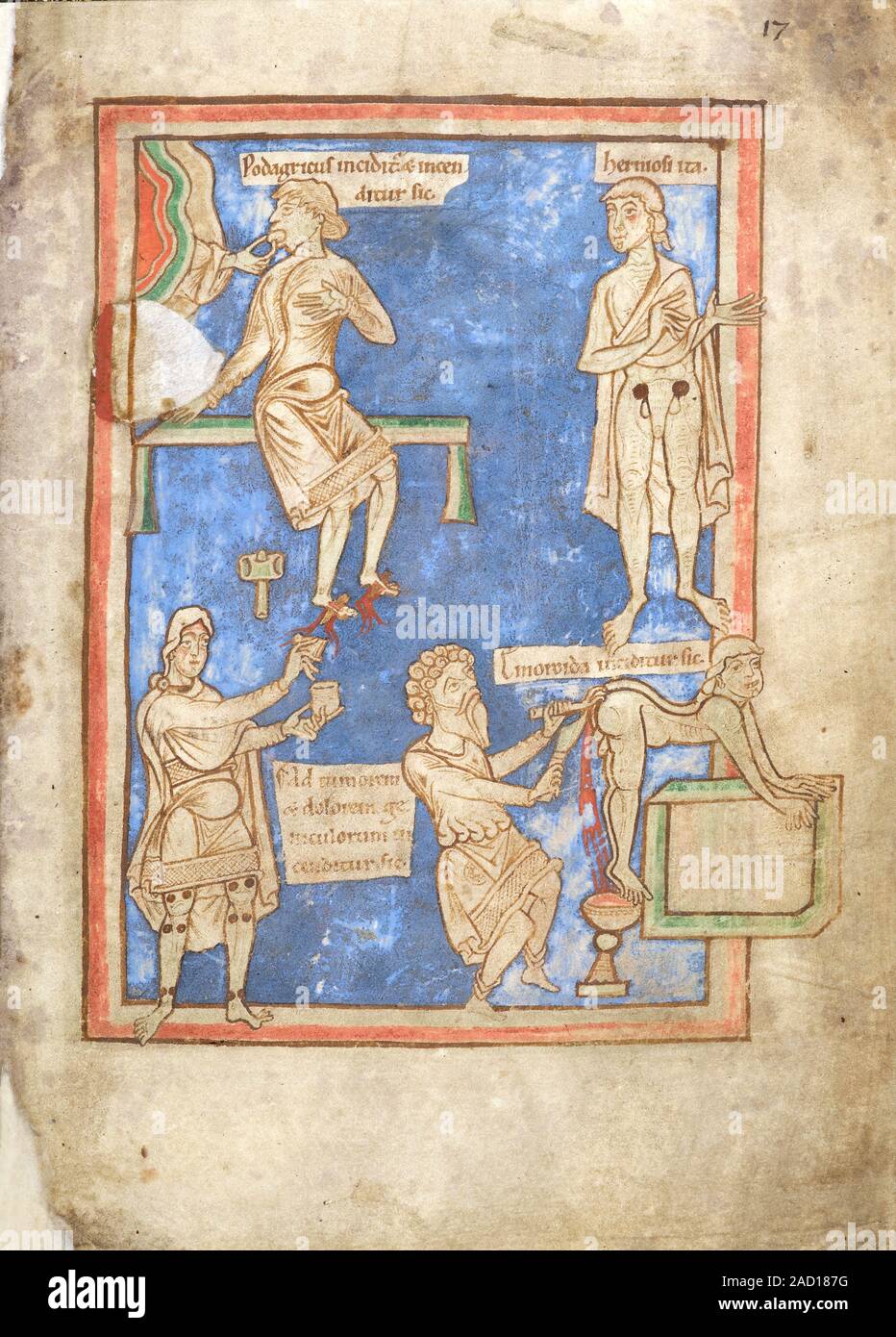 12th Century medical manuscript. Illustration from a 12th Century Dutch ...