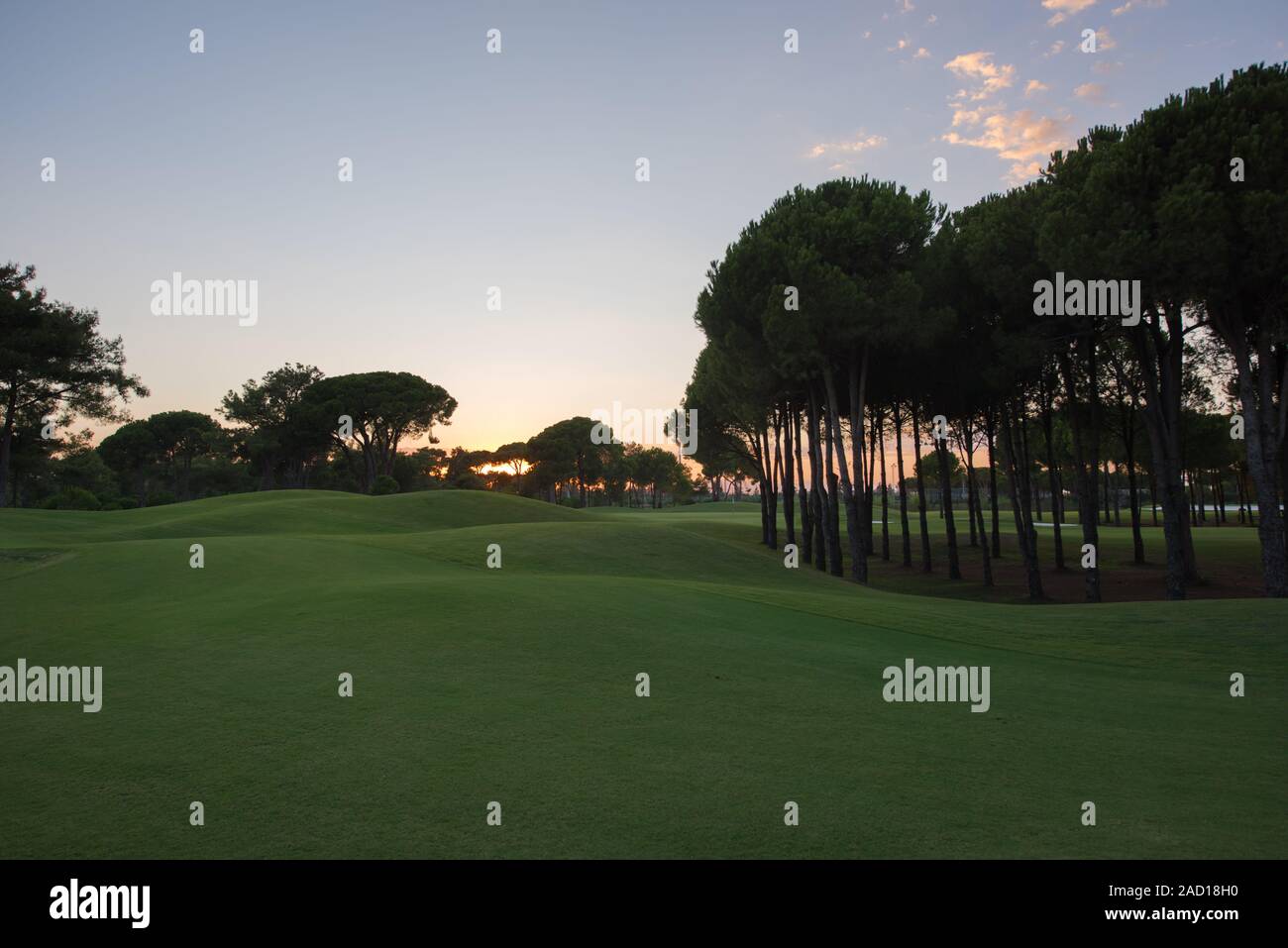 golf course on sunset Stock Photo - Alamy