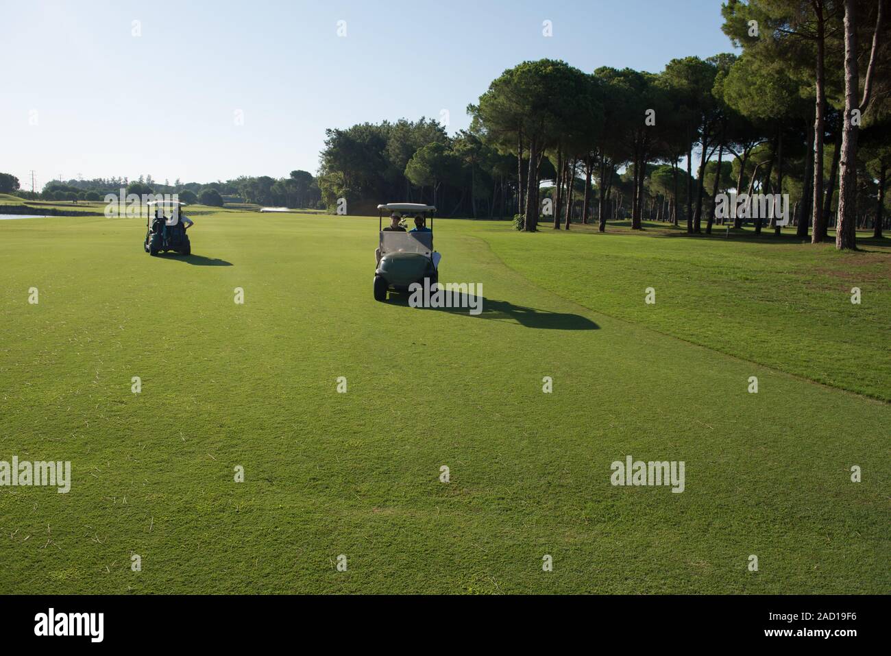 golf players driving cart at course Stock Photo - Alamy
