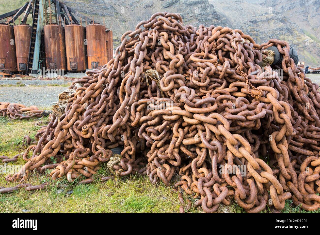 The old whaling station at Grytviken on South Georgia. In its 58 years ...