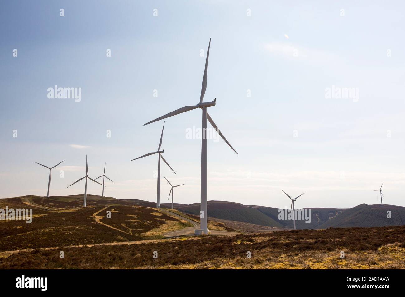 The Clyde Wind Farm in the Southern Uplands of Scotland near Biggar. It ...