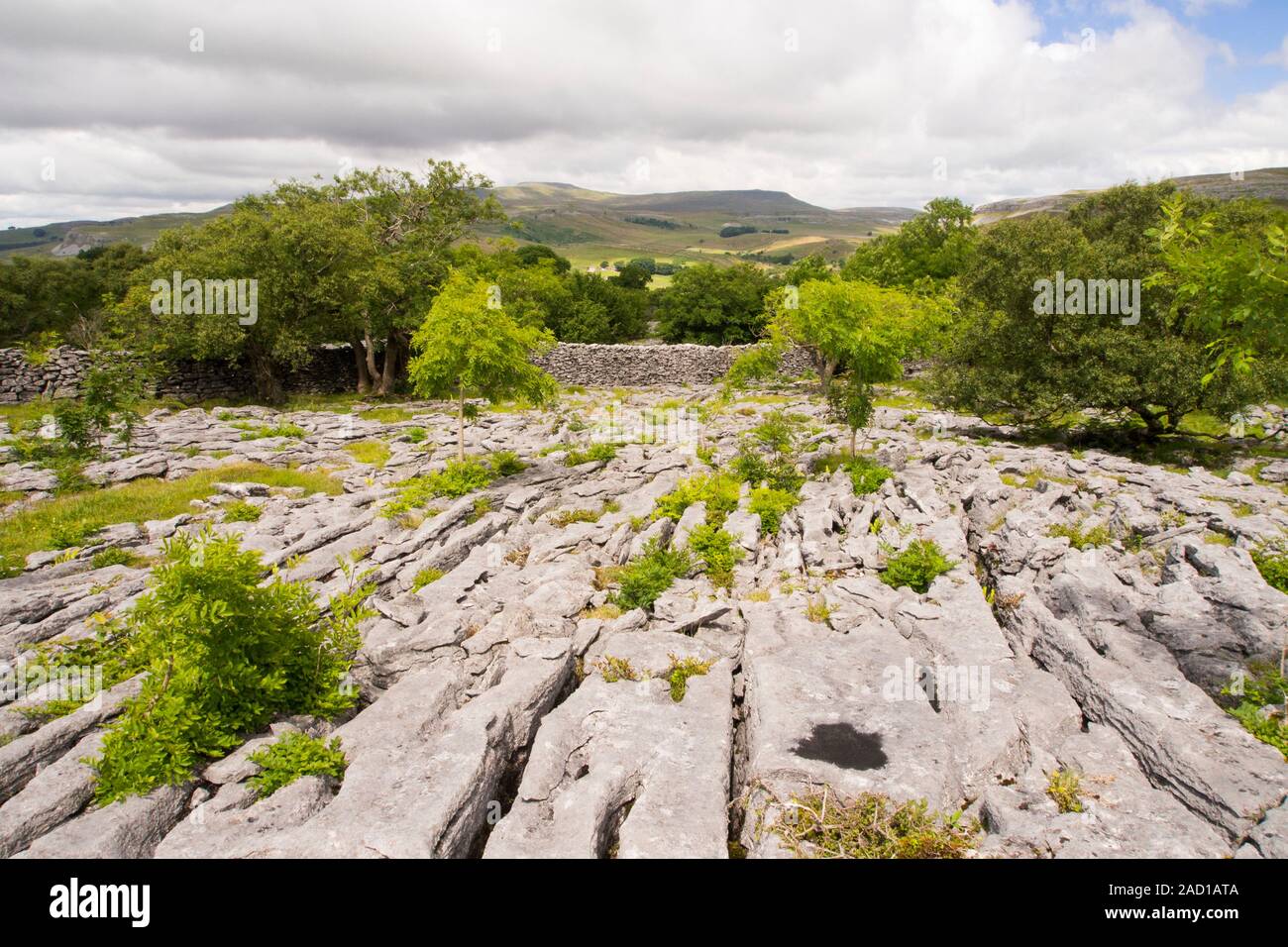 Limestone pavement above Austwick in the Yorkshire Dales, UK Stock ...