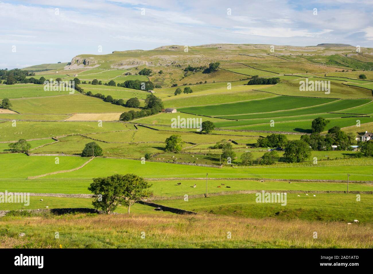 Yorkshire Dales scenery around Austwick, UK Stock Photo - Alamy