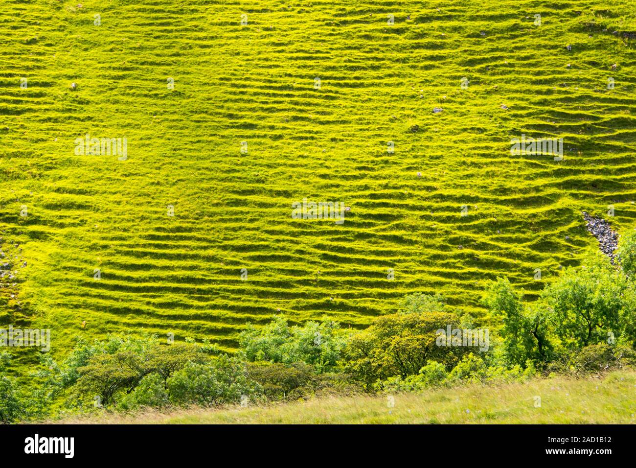 Terracing on a steep slope in Littondale in the Yorkshire Dales, UK ...