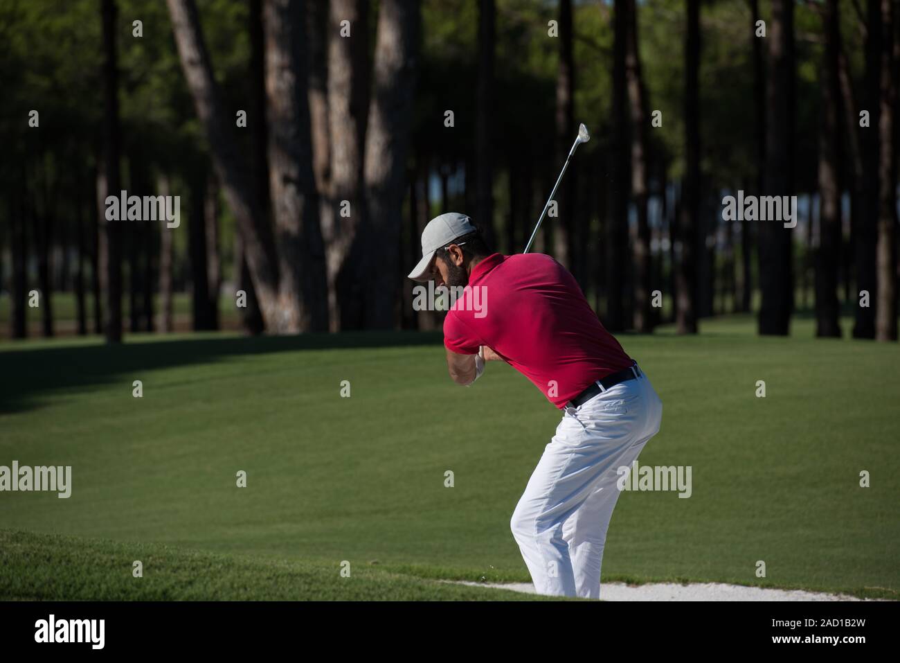 golfer hitting a sand bunker shot Stock Photo - Alamy