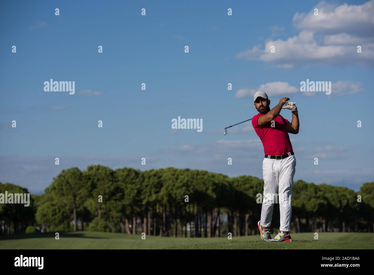 golf player hitting long shot Stock Photo - Alamy