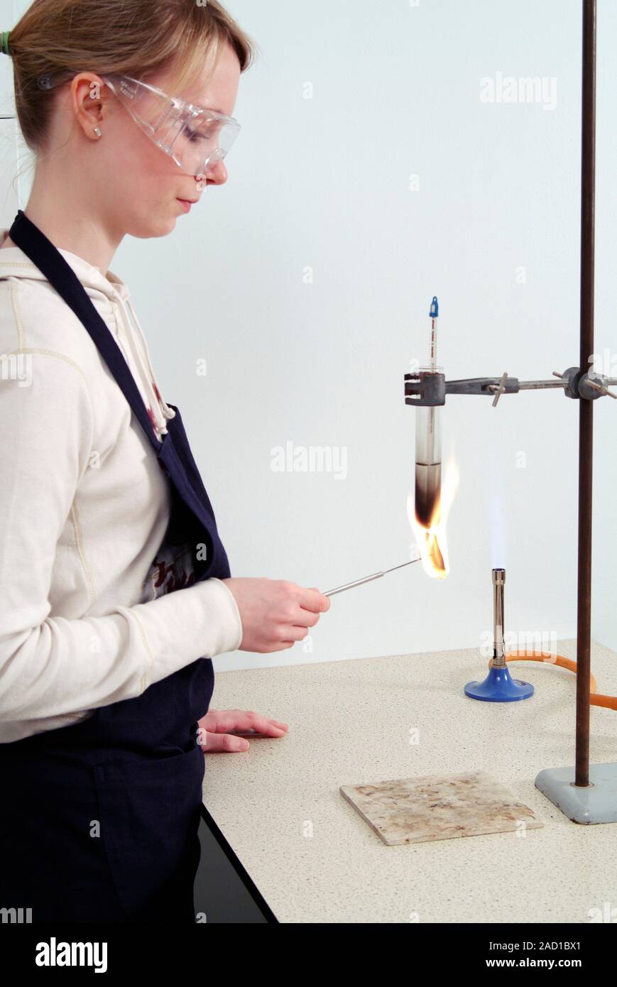 Measuring energy in crisps. Person using a burning potato crisp to heat ...