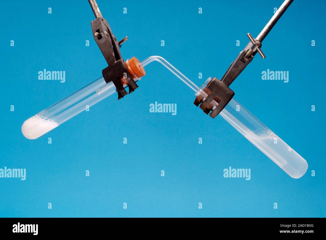 Testing for carbonate. Test tube containing a compound added to acid ...