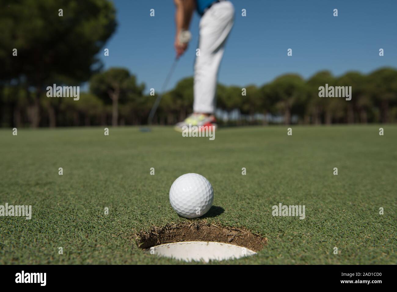 golf player hitting shot, ball on edge of hole Stock Photo - Alamy
