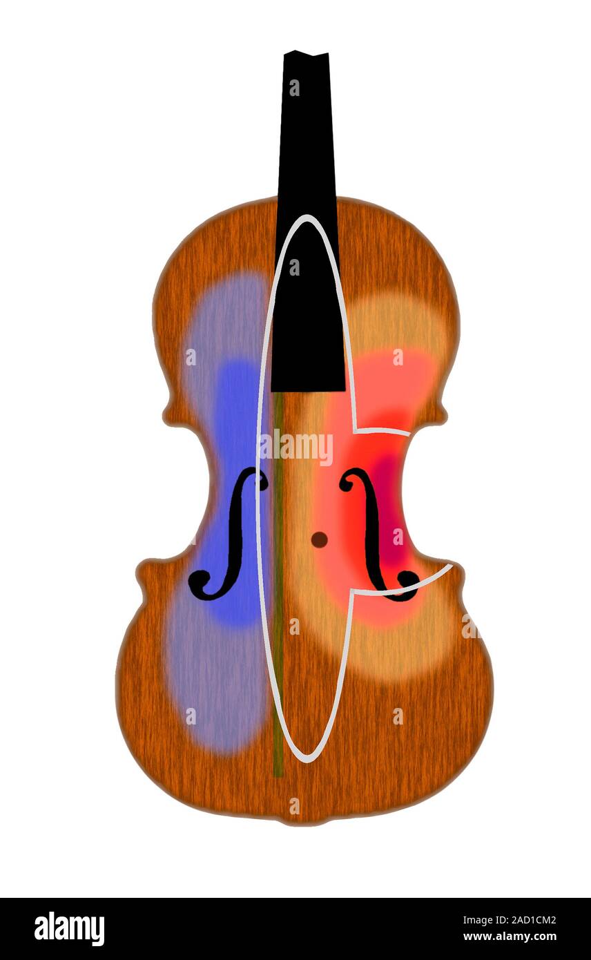 Violin vibration zones. Illustration of the body of a violin, showing ...