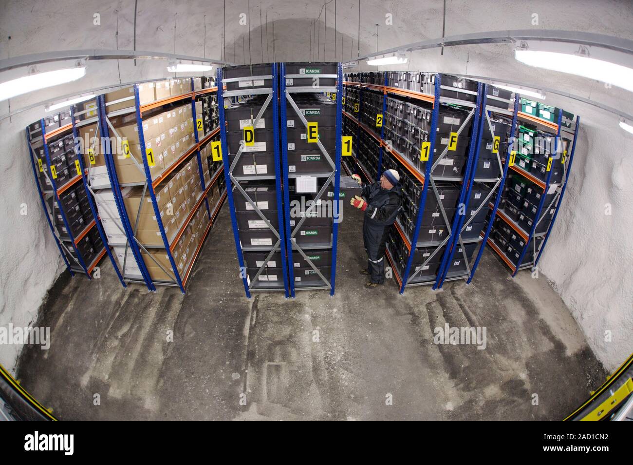 Svalbard Global Seed Vault racks, interior view. Constructed between ...