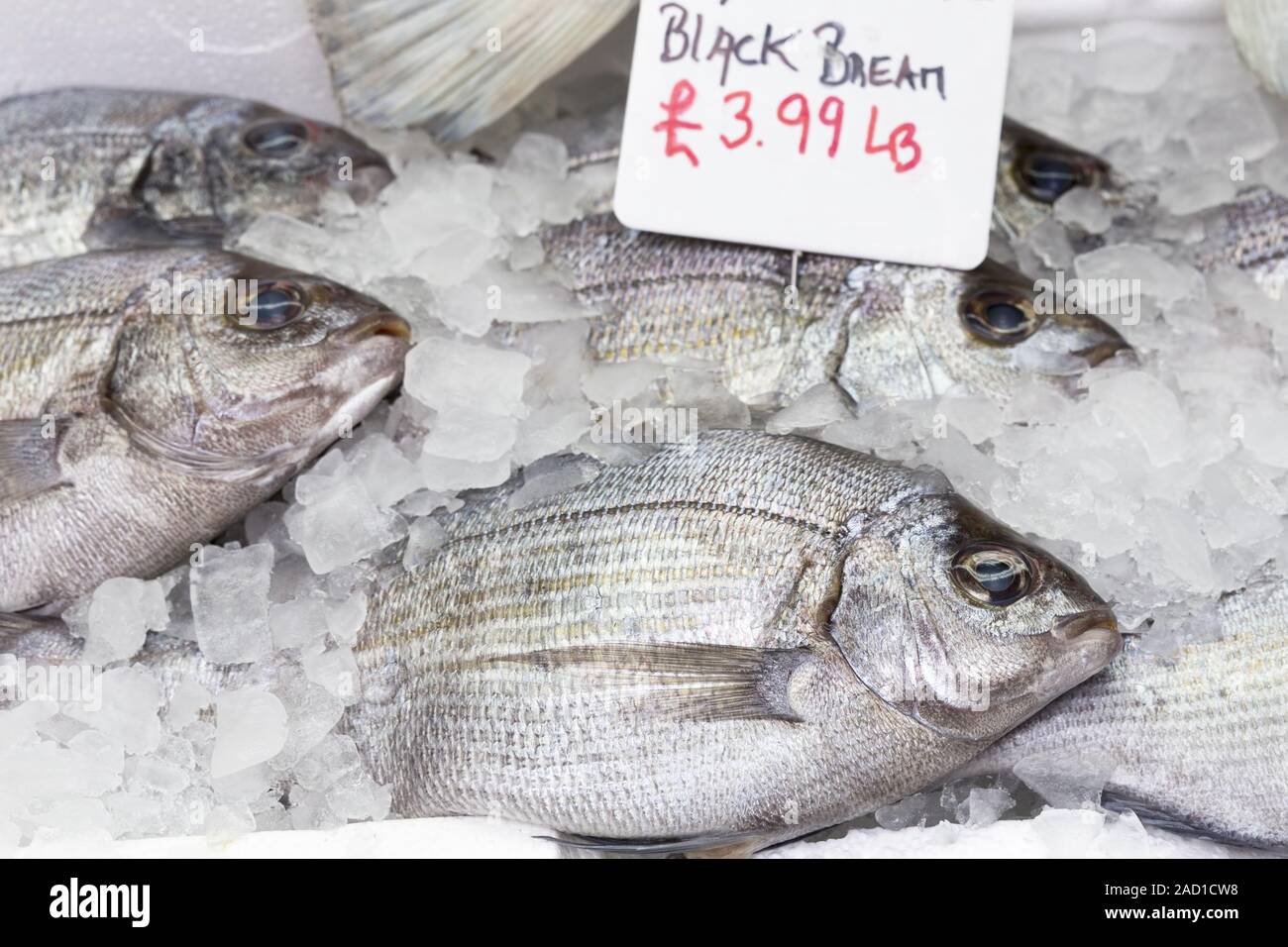 Black bream on ice Stock Photo - Alamy