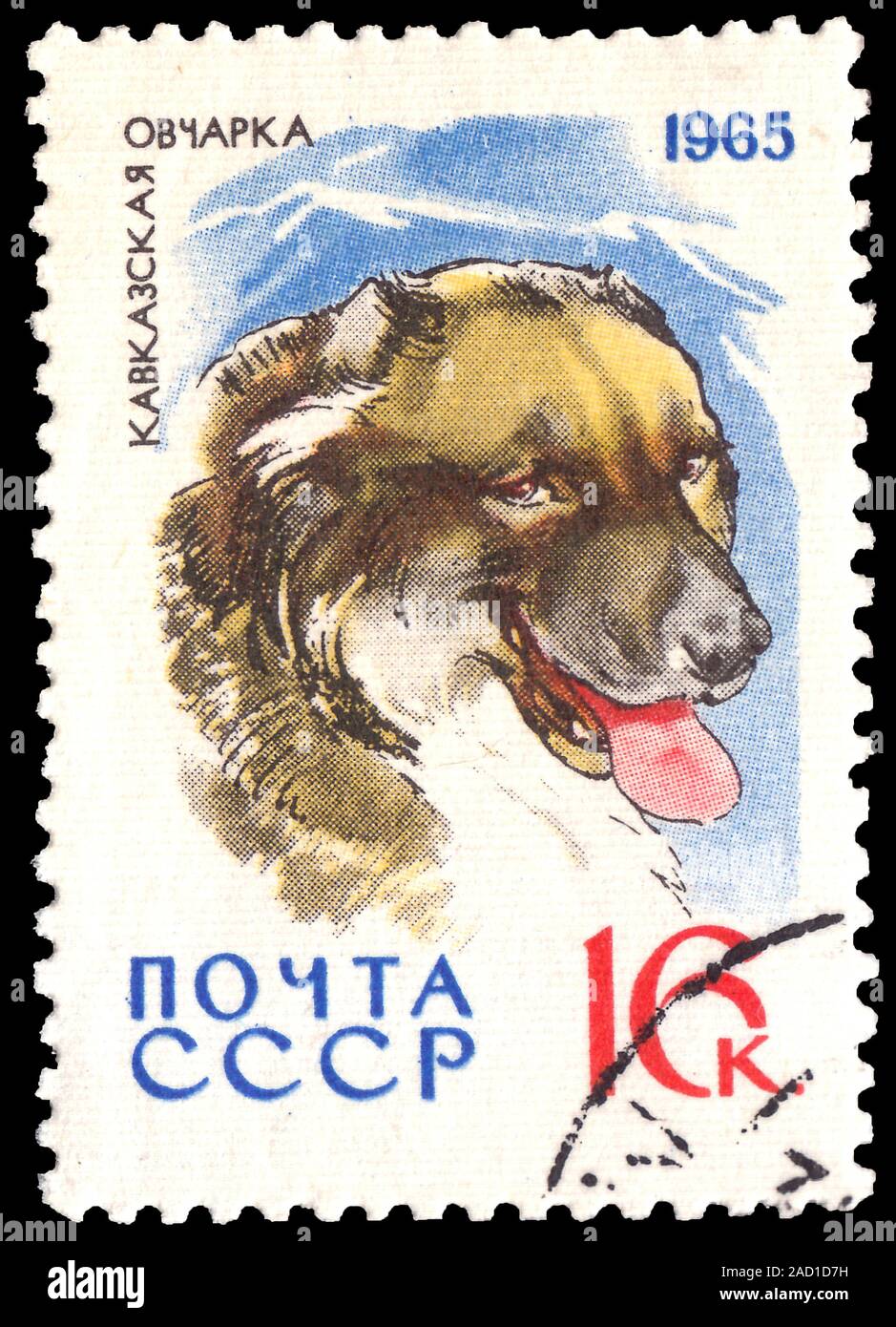 Soviet dog breed hi-res stock photography and images - Alamy