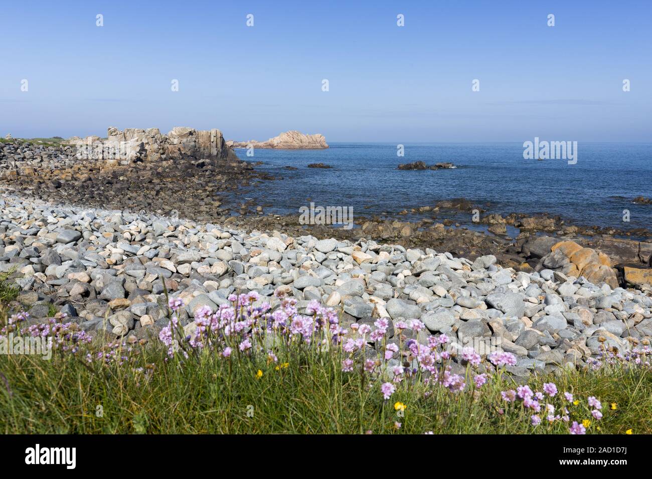 North coast of the Channel Island Guernsey in spring Stock Photo - Alamy