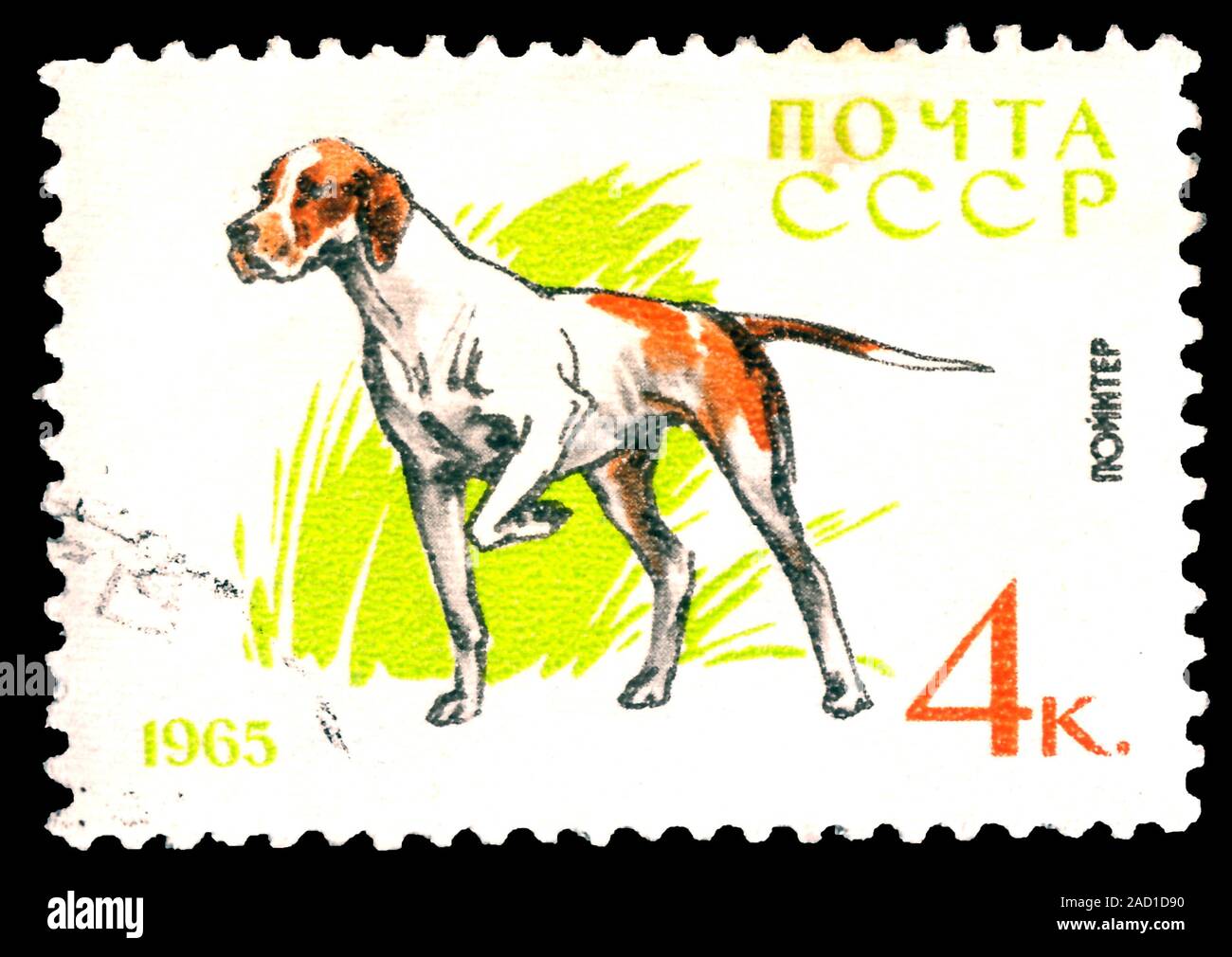 Soviet Union (SSSR) Russia - circa 1965. Postage stamp printed in ...