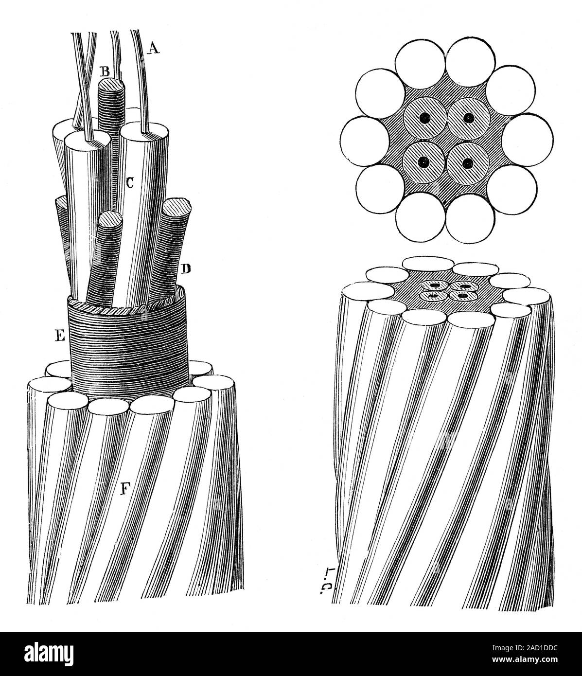Submarine telegraph cable. Historical illustration of the submarine ...