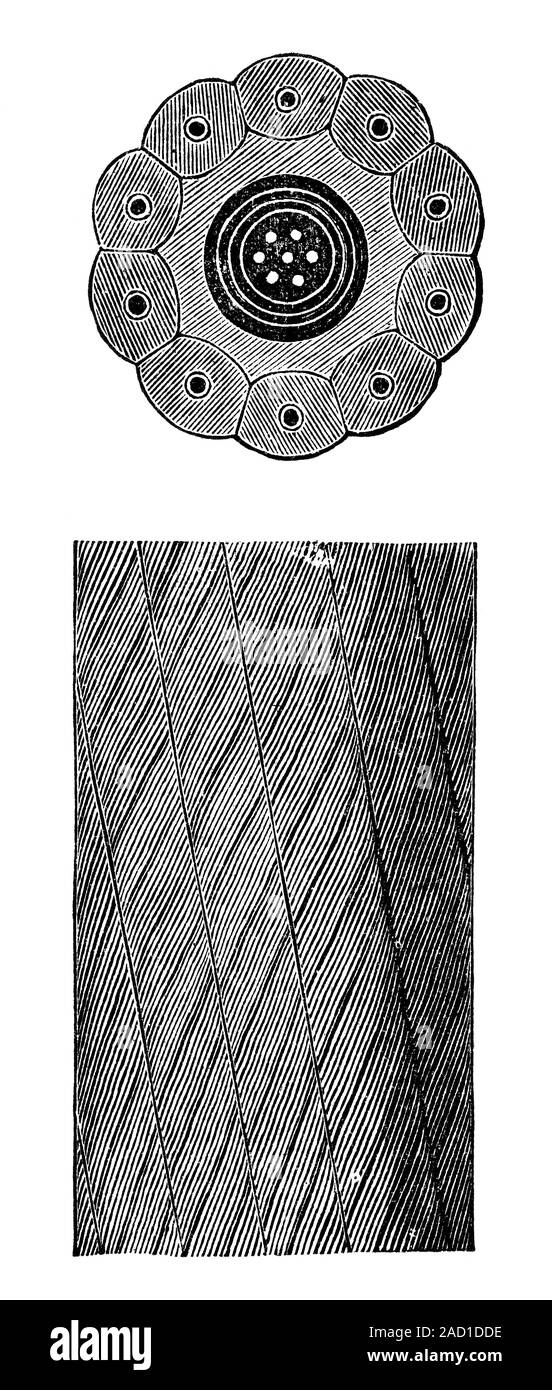 Submarine telegraph cable. Historical illustration of the submarine ...