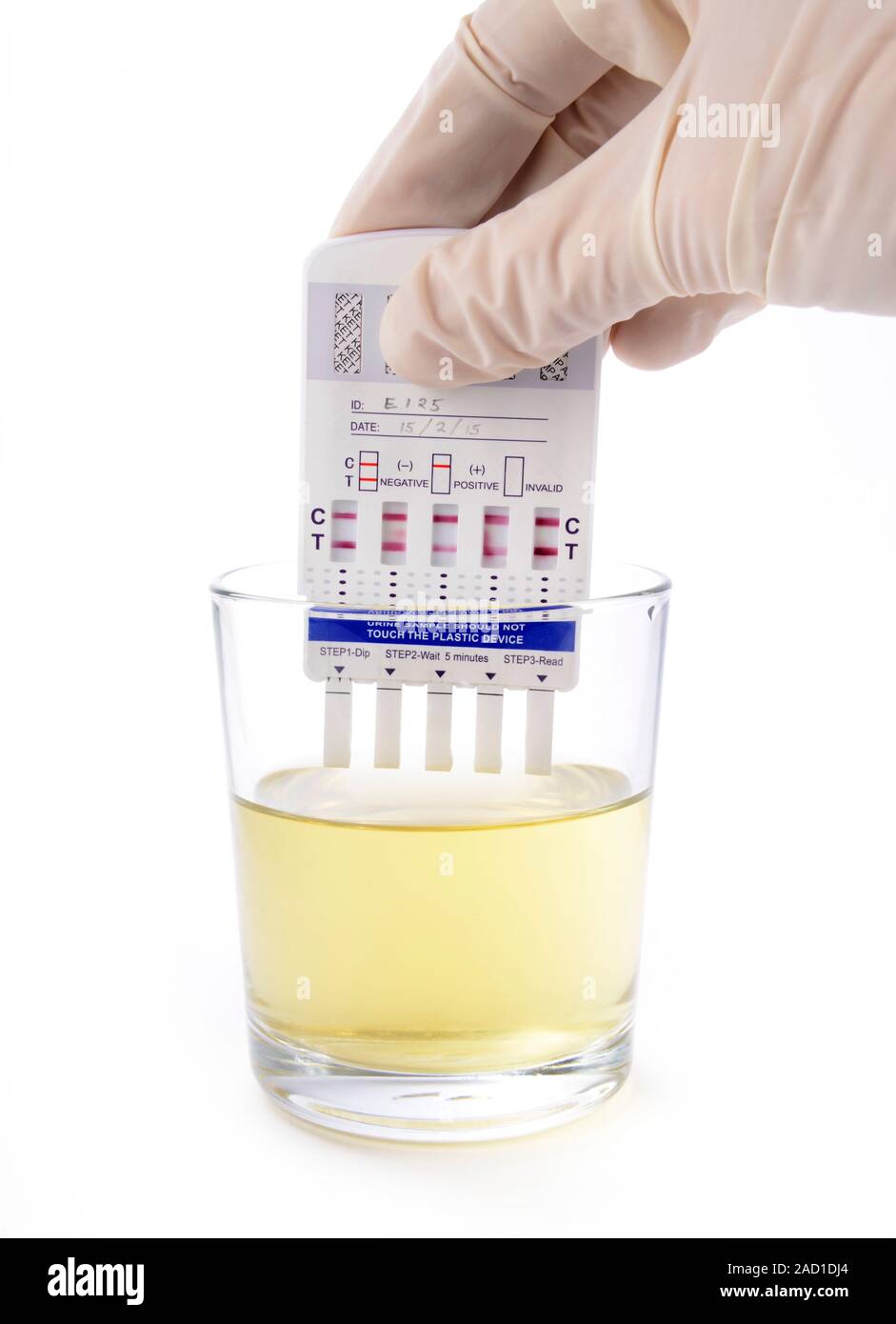 Urine drug test. Drug test card being dipped into a sample of urine to ...