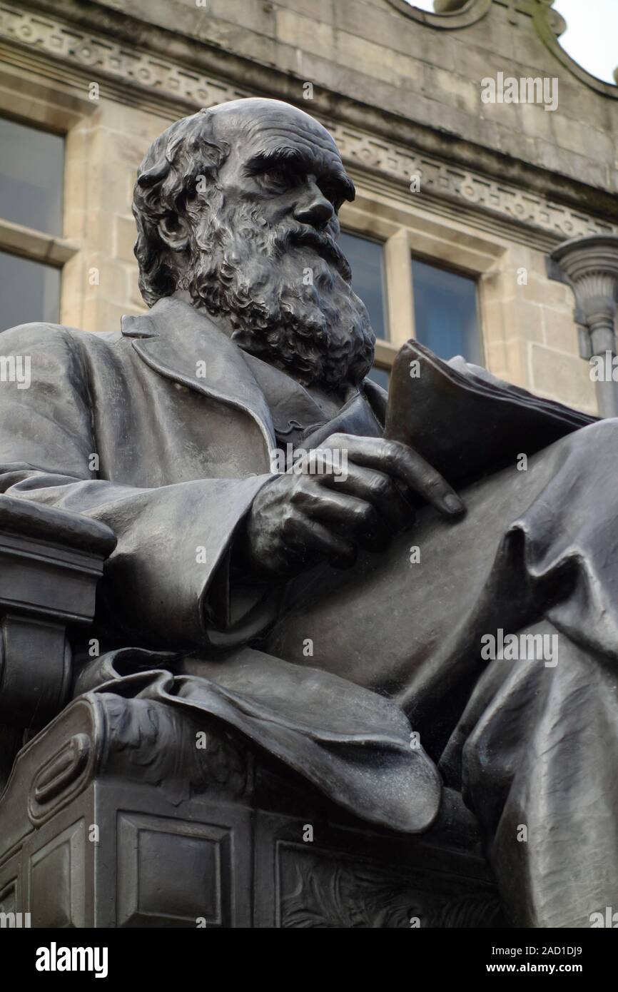 Charles Darwin. Statue commemorating the British naturalist Charles ...