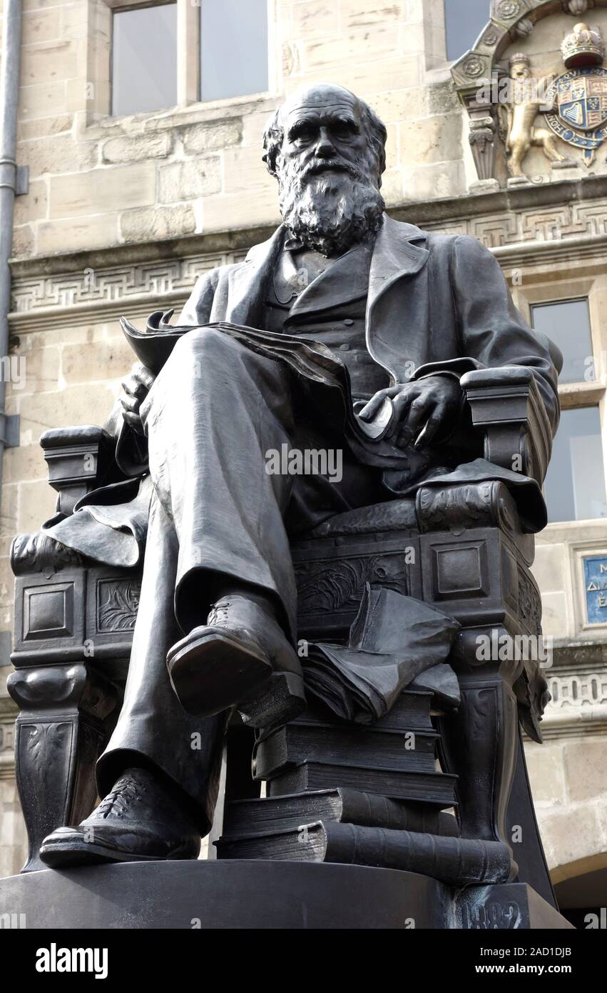 Charles Darwin. Statue commemorating the British naturalist Charles ...