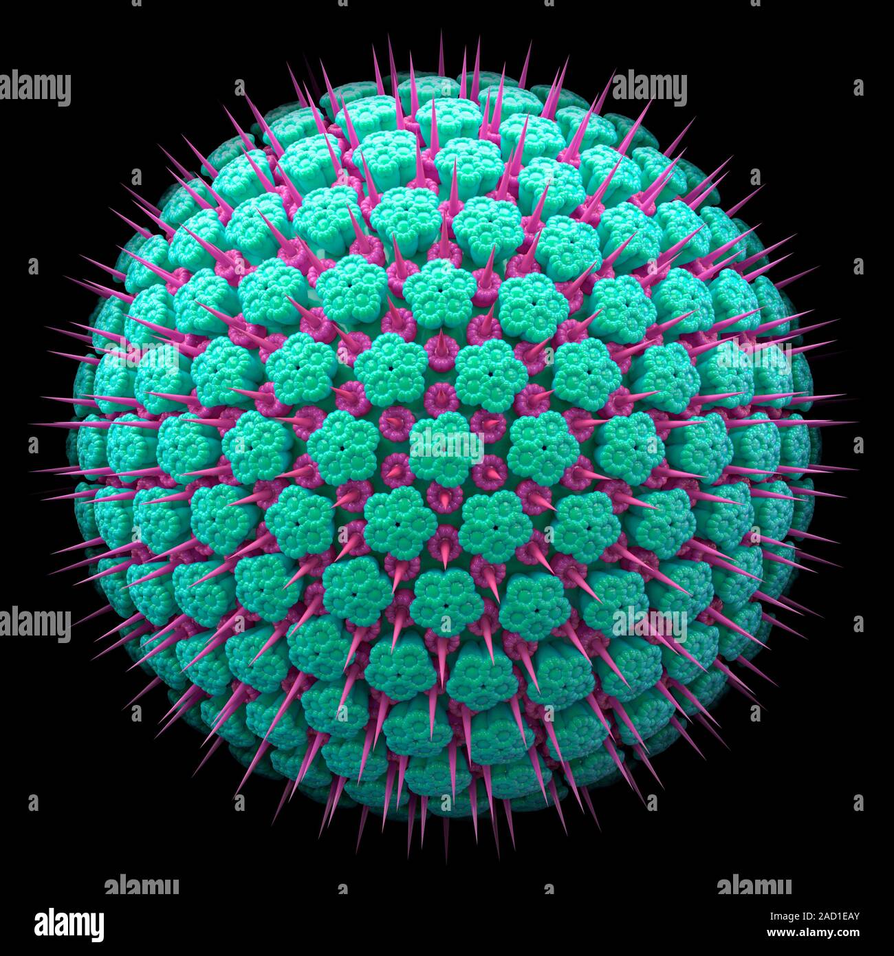 Virus particle, computer illustration. Virus particles (virions ...