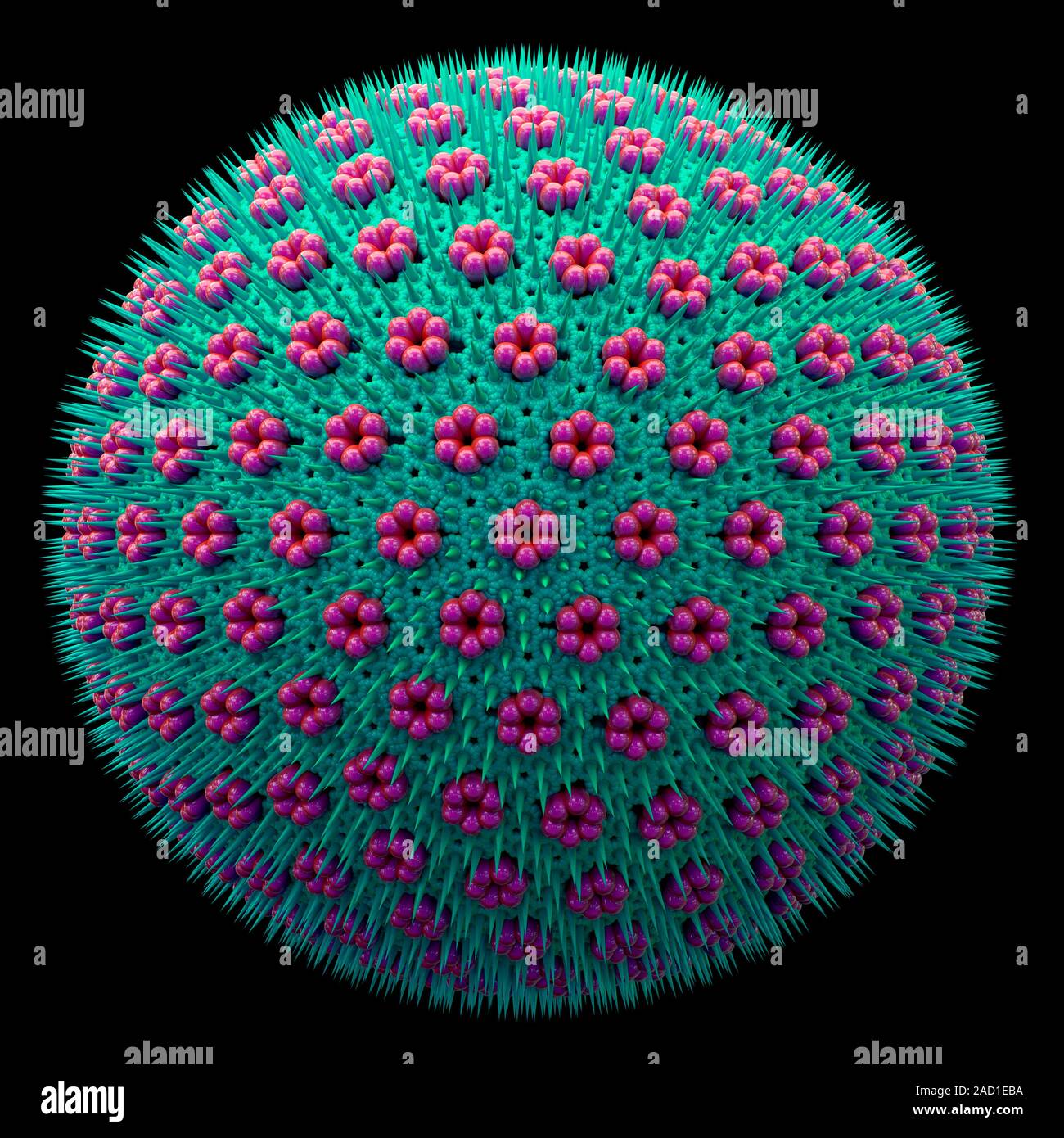 Virus particle, computer illustration. Virus particles (virions ...
