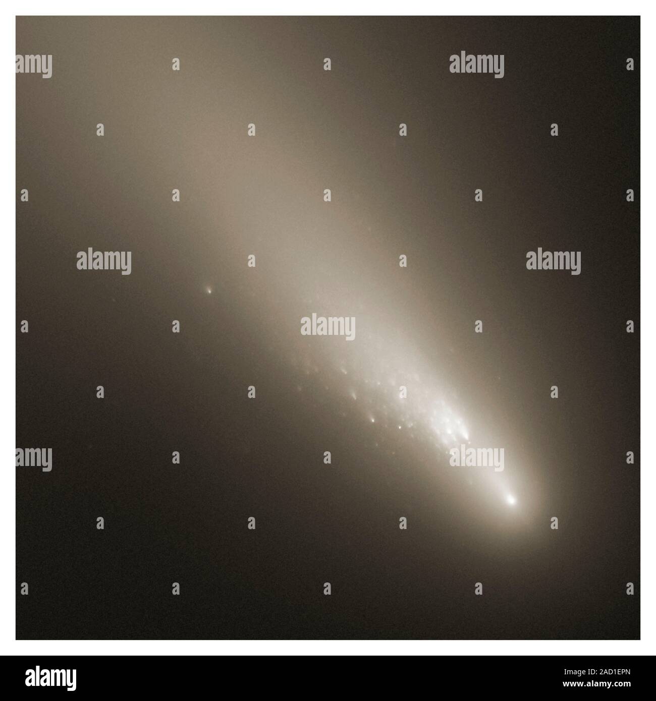 Comet. Hubble Space Telescope (HST) image of a comet, showing its coma ...