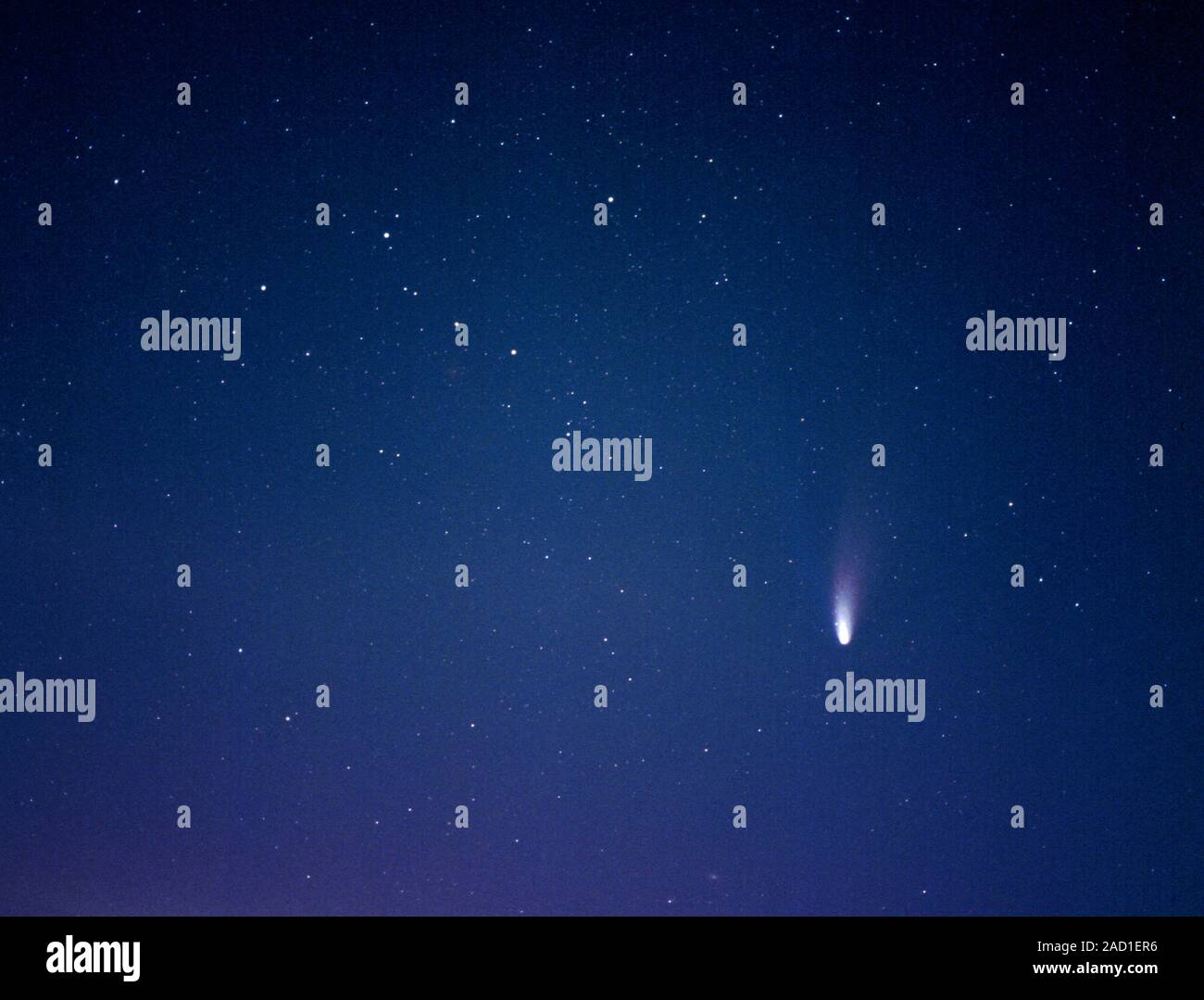 Comet Hale-Bopp, 1997. Image of the comet Hale-Bopp (C/1995 O1) passing ...