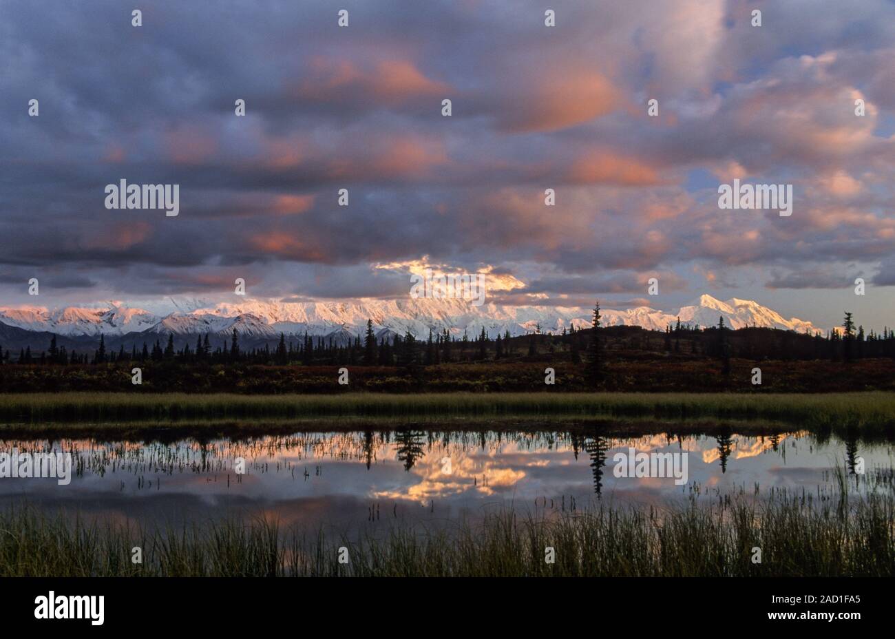 Denali is the highest mountain peak in North America / Denali National ...