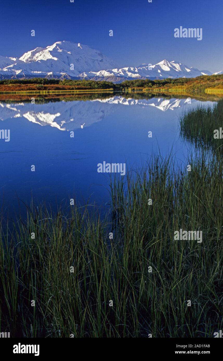 Denali the highest mountain in North America is mirrored in Reflection ...